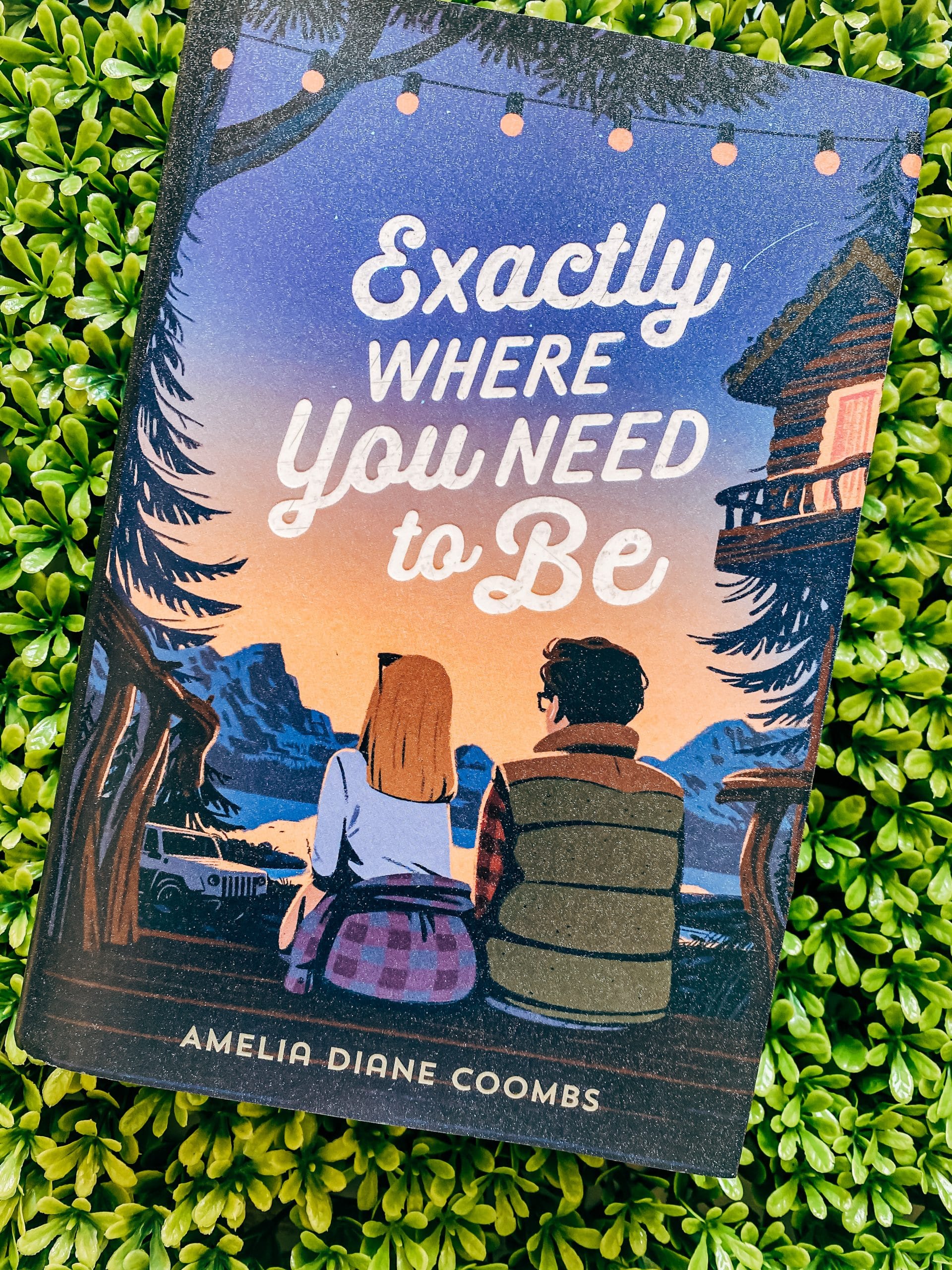 Amelia Diane Coombs Author Interview - HeyitsCarlyRae